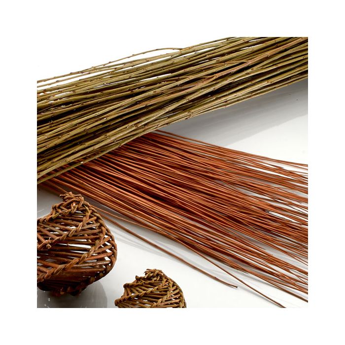 Willow Withies | Dryad Education
