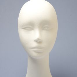 Male or Female Polystyrene Heads | Dryad Education